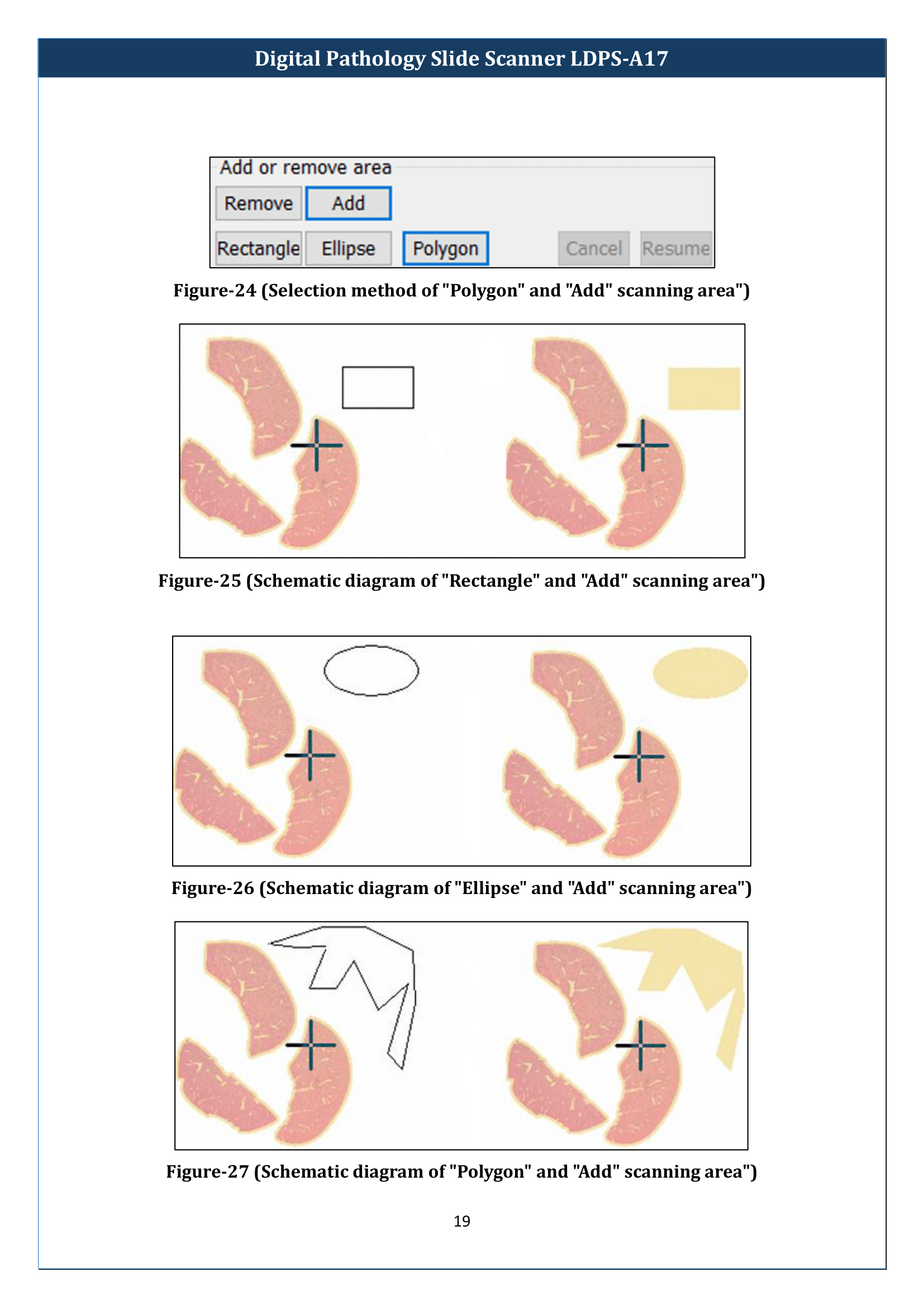 Digital Pathology Slide Scanner LDPS-A17 Operating Manual