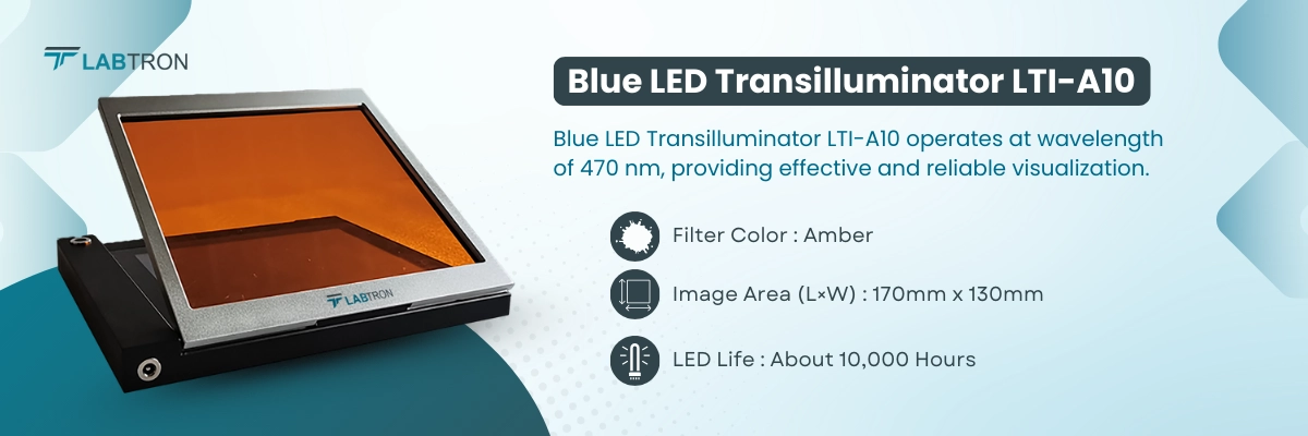 Blue LED Transilluminator LTI-A10 | Blue LED Light Box | Labtron